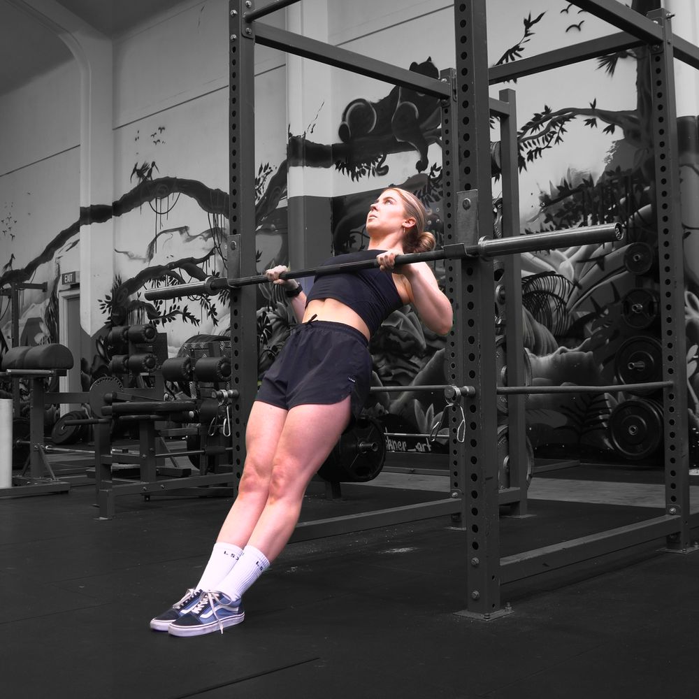 Calisthenics Push Pull Legs FREE Workout Program - Calisthenics Beginners